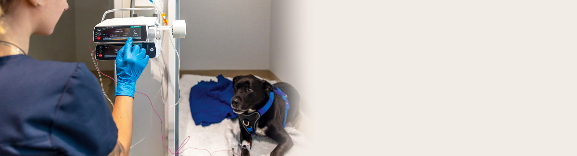 Prevention Intravascular Catheter-Related Infections